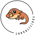 Larvalicious Pet Reptile Care Sheet - Gecko