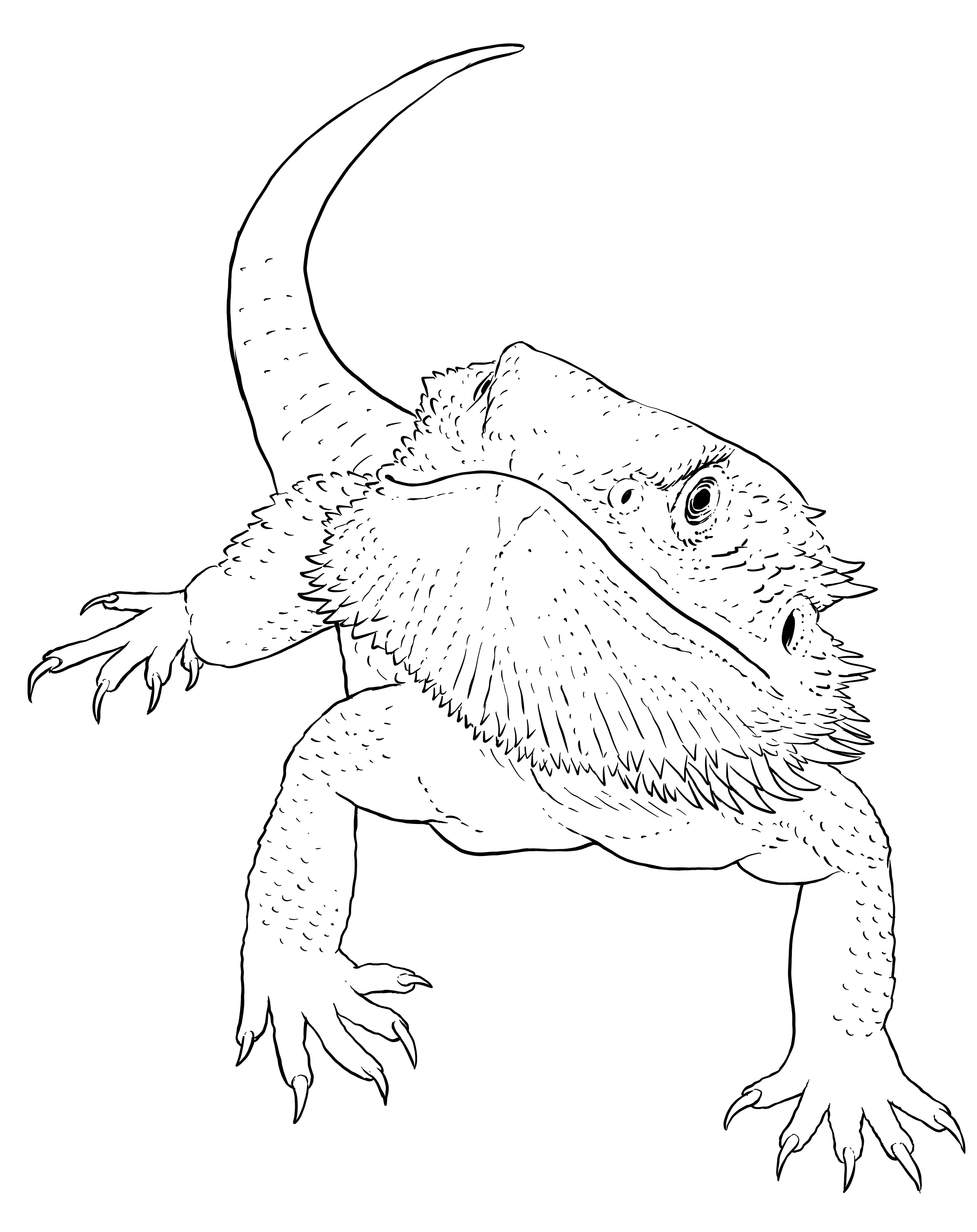 Larvalicious Larvae - Just like in the wild!